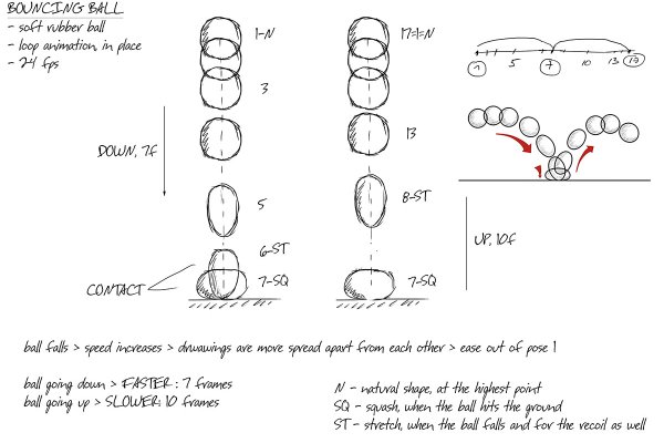 Squash and Stretch Principle - Cristina Teaching Art