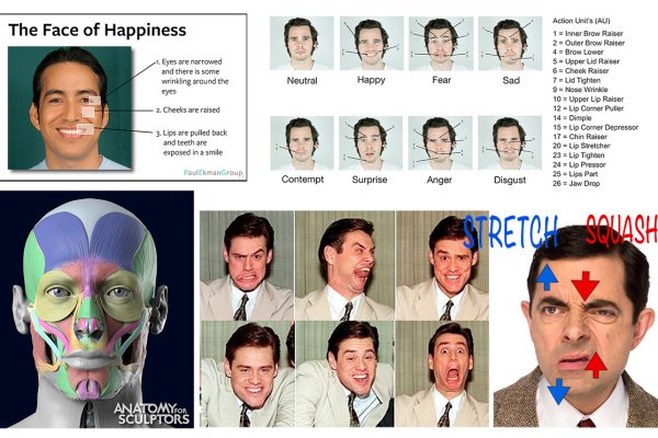 Squash and Stretch Principle - Cristina Teaching Art