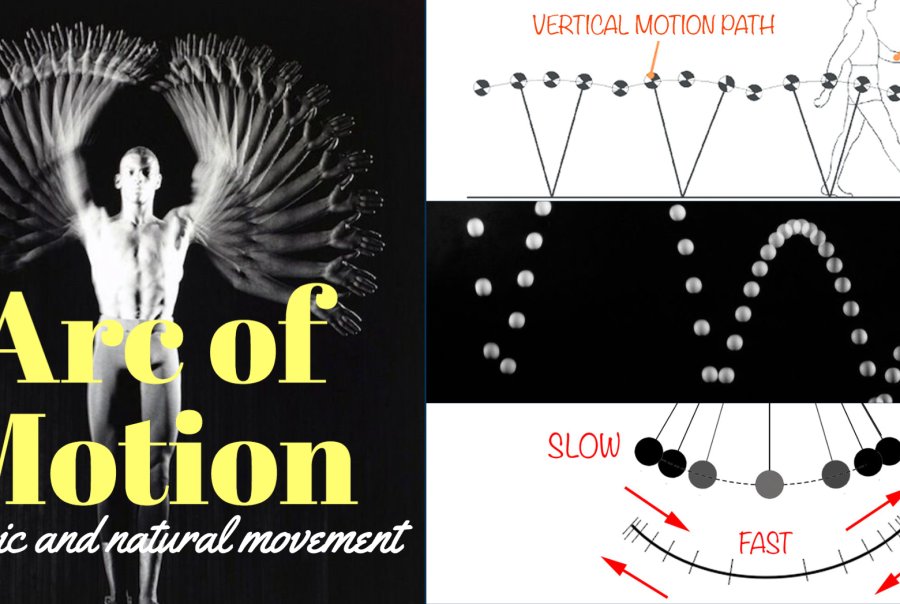 A guide into the Principles of Animation - Cristina Teaching Art