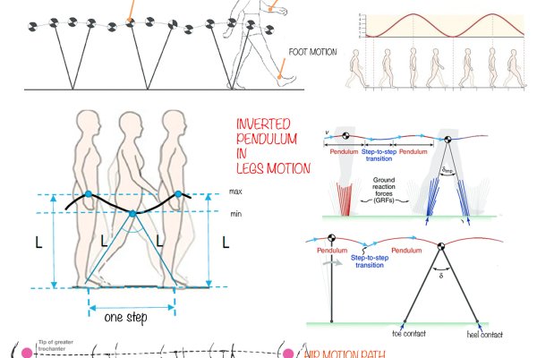 Arc of a Motion Principle - Cristina Teaching Art